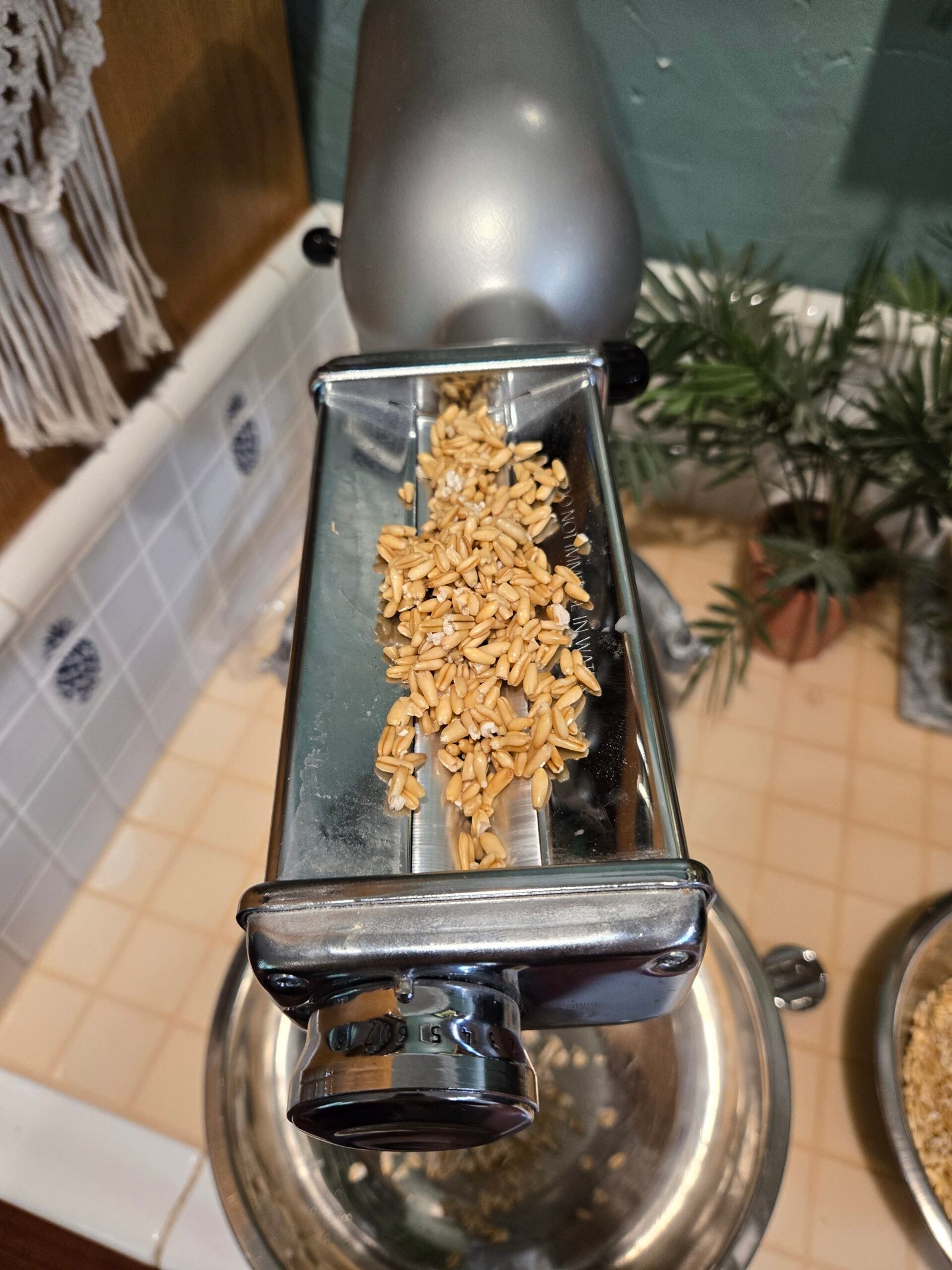 How To Make Rolled Oats - littlemagnoliahomestead.com
