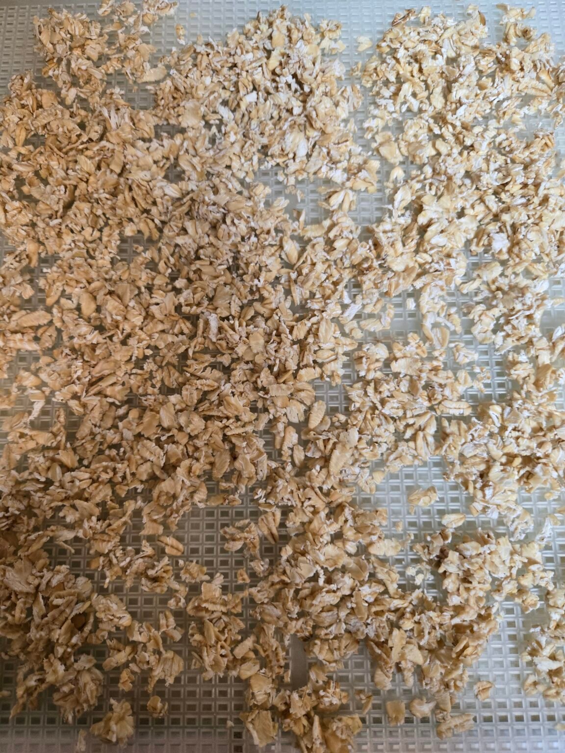 How To Make Rolled Oats - littlemagnoliahomestead.com