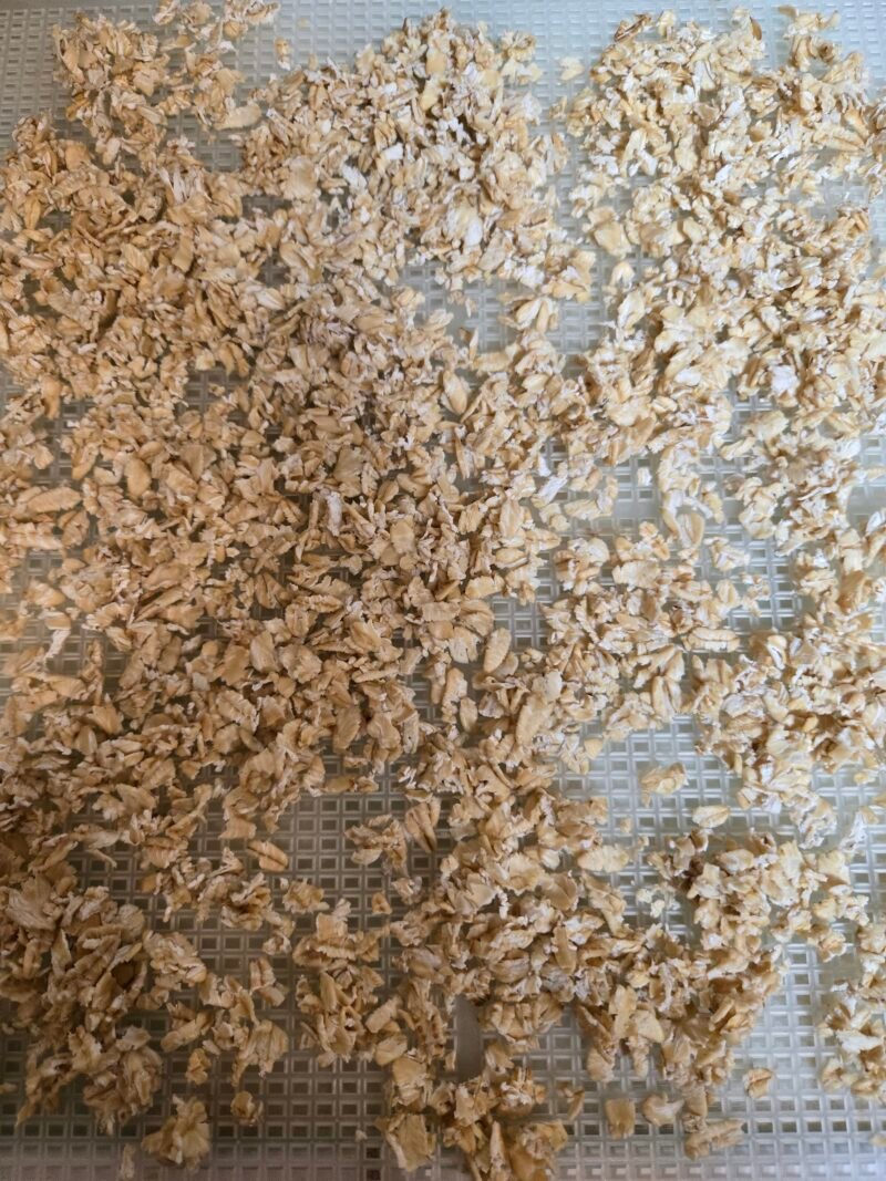 How To Make Rolled Oats - littlemagnoliahomestead.com